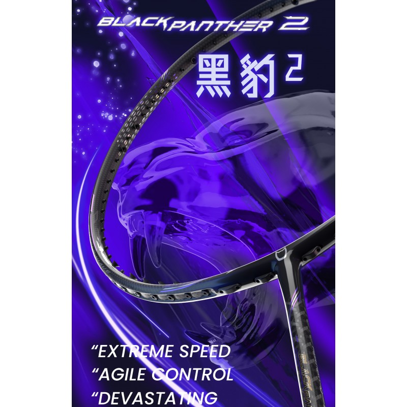 Black Panther 2 (4U)